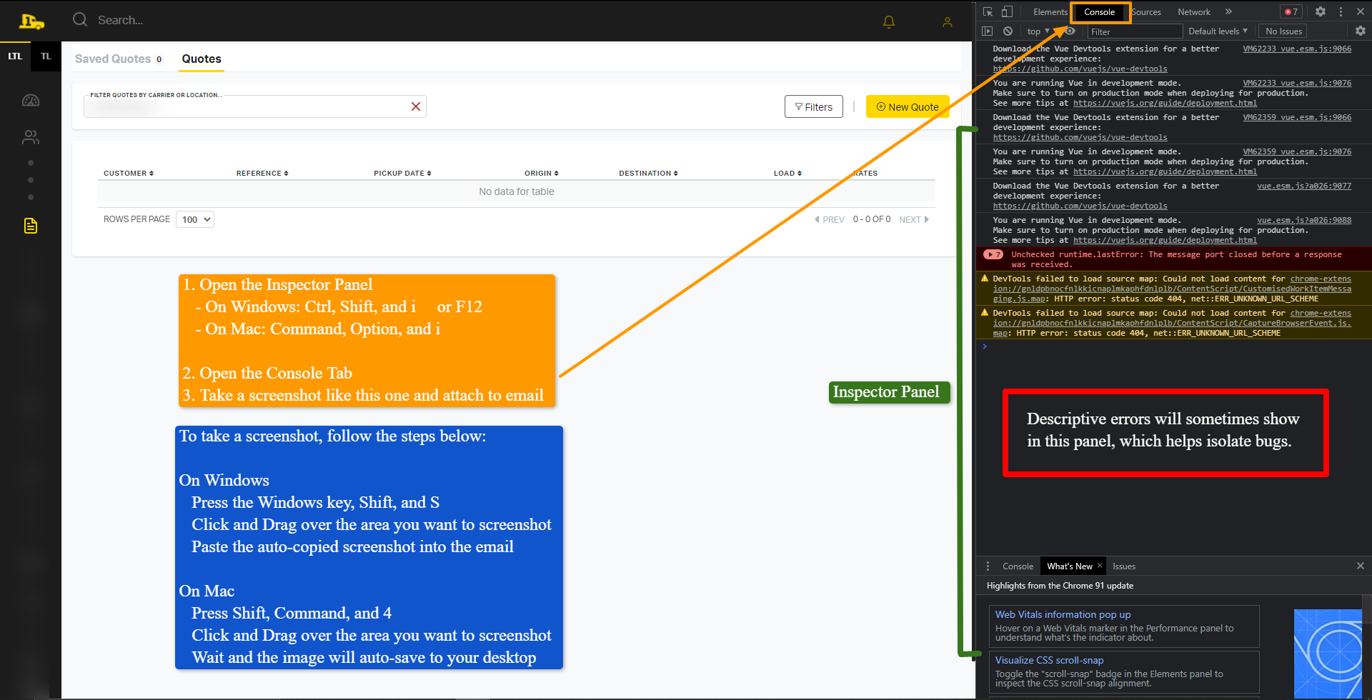 Take a Screenshot of the Console Tab to Isolate Bug – Priority1